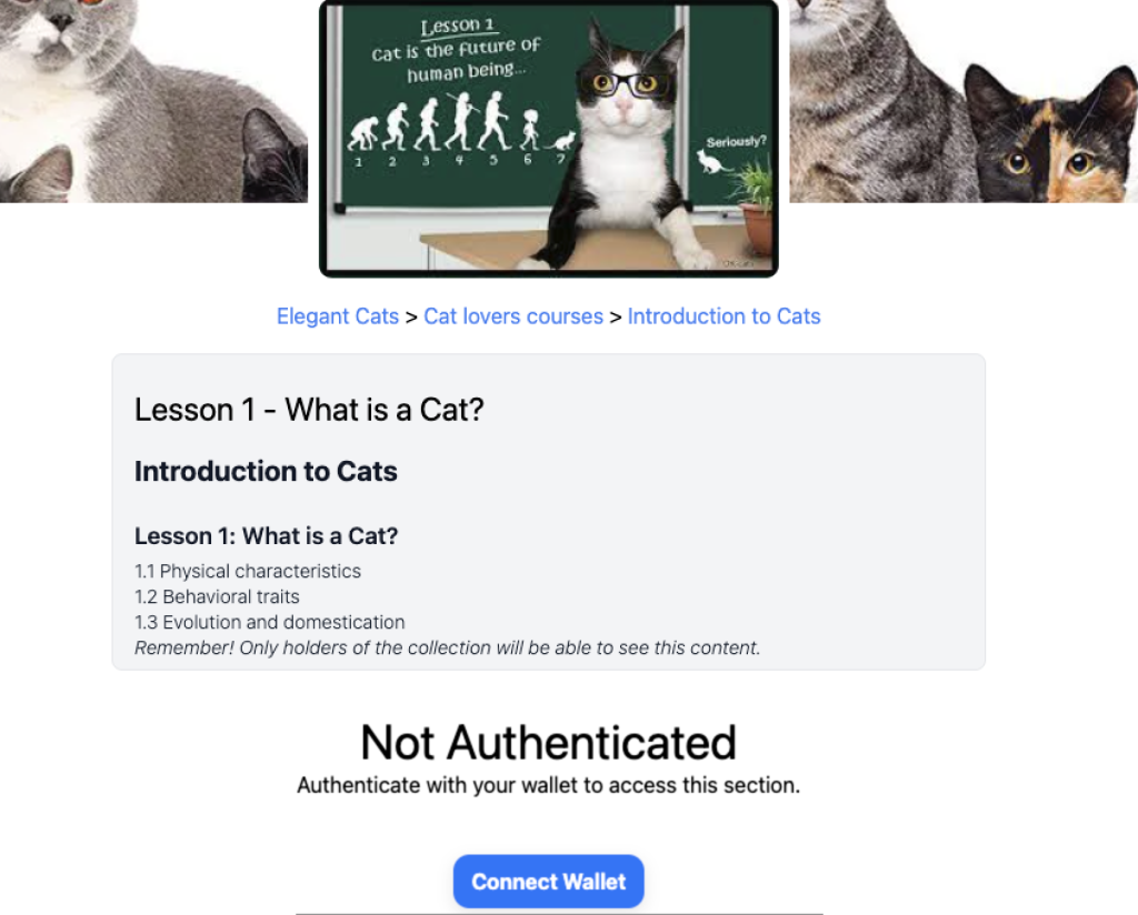 How to Create an NFT Project on Ink with NFTs2Me - NFTs2Me